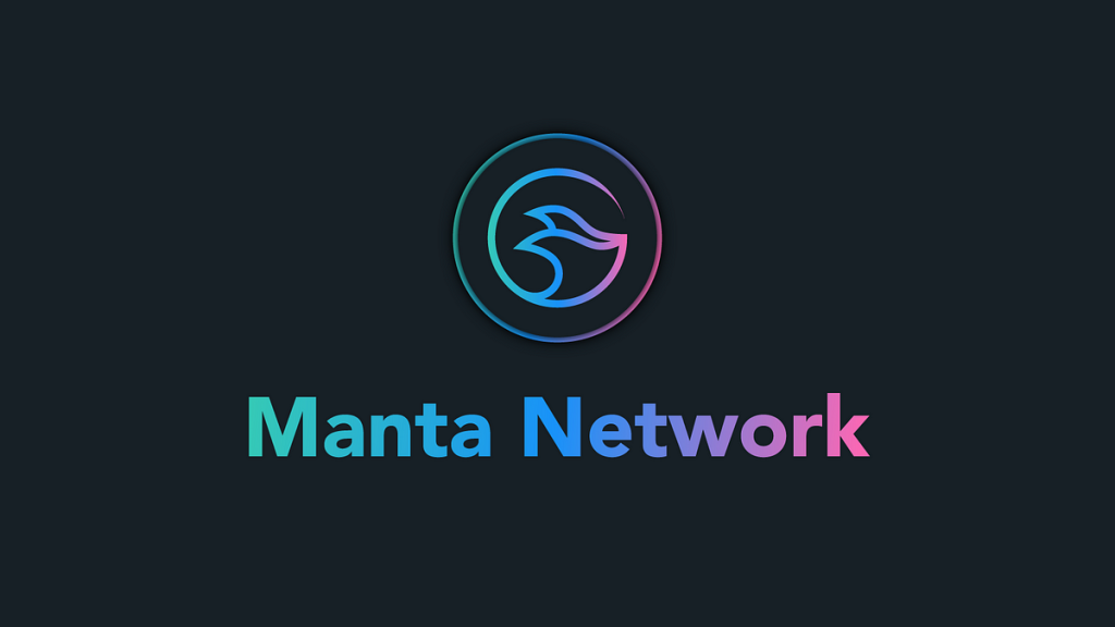 Manta Network: guida completa alla innovativa blockchain modulare